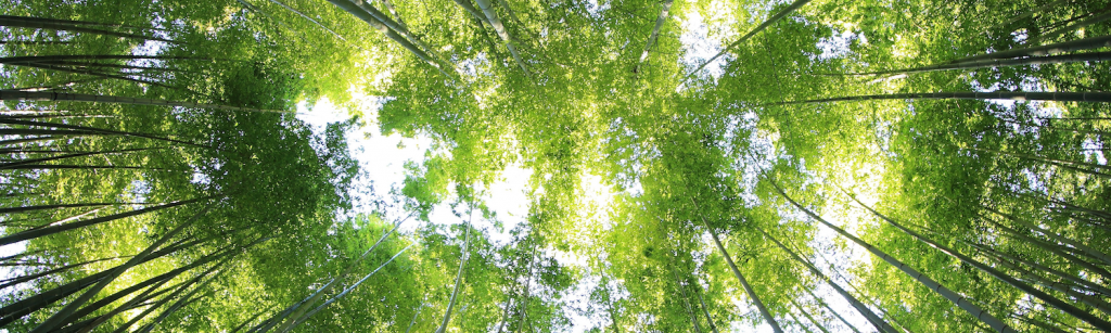 About - Power BI Visuals by Nova Silva